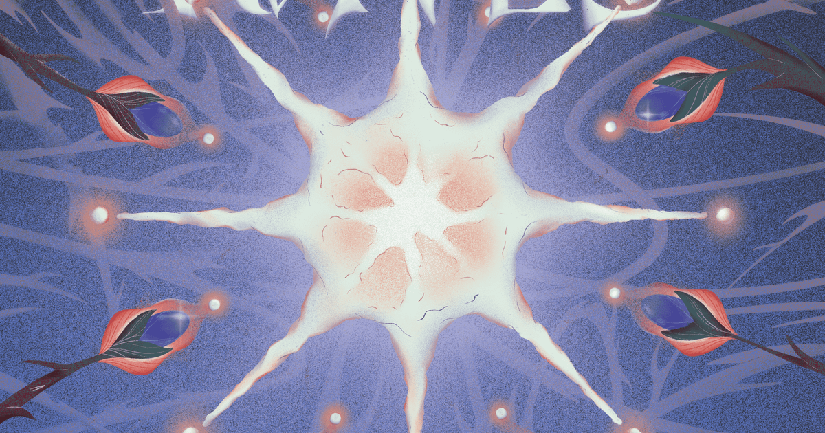 PREMIUM RAVES [1] at Minus Eden, Skopje