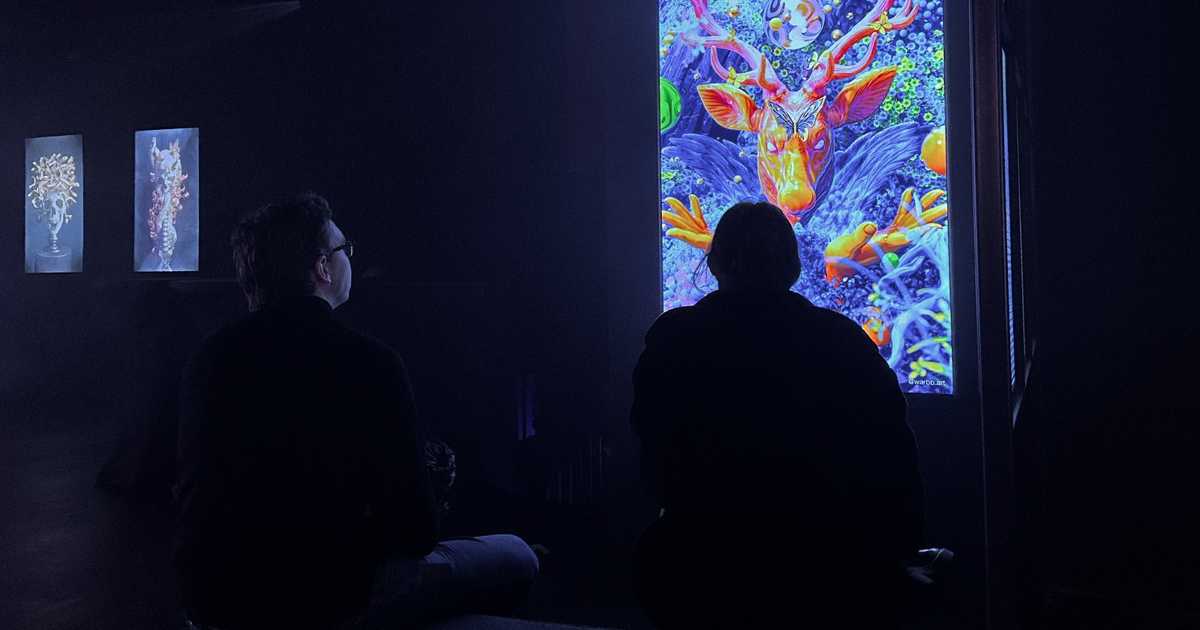 Black Hole Gallery + Art-Bar Night bei P61 Gallery, Berlin