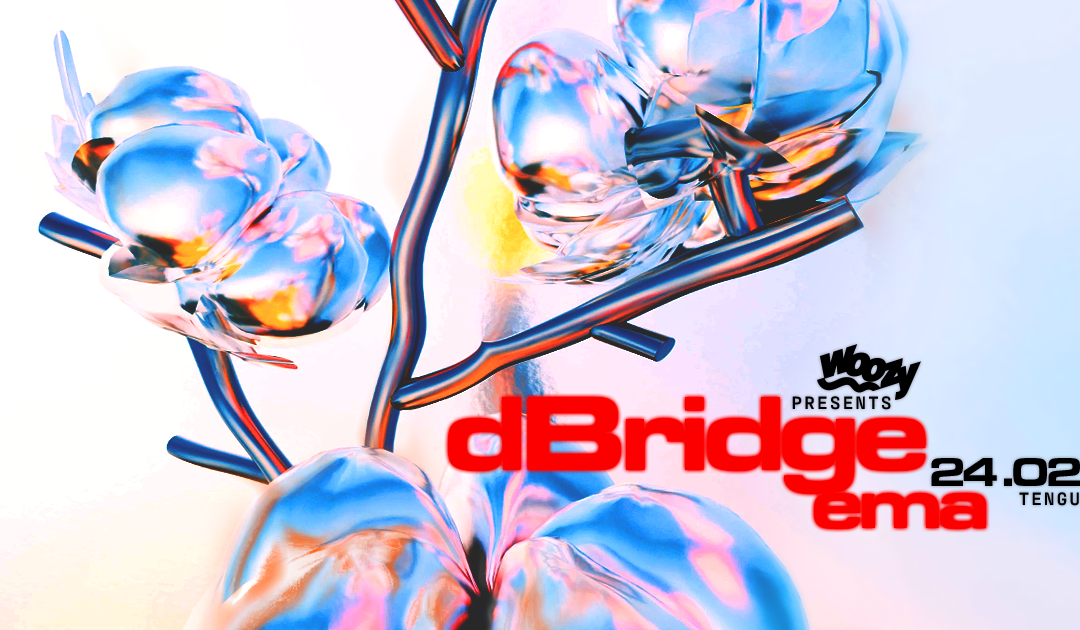 Woozy: dBridge, EMA at Yamamori Tengu, Dublin