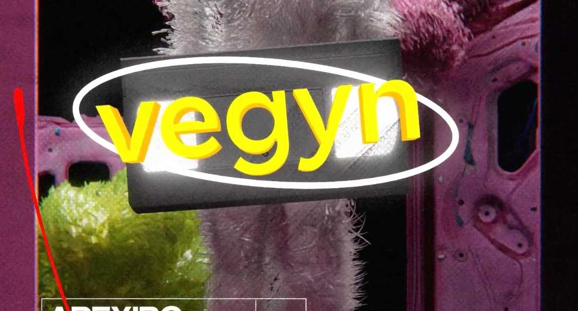 Vegyn ( London) at Cakeshop, Seoul