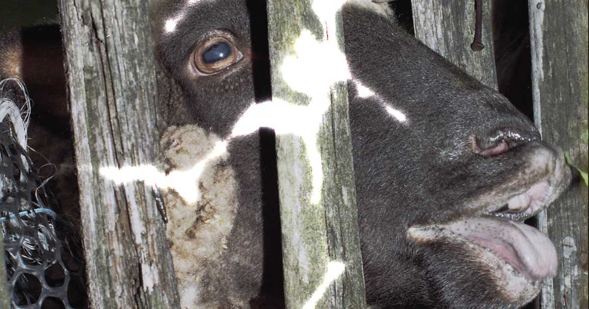 EXIT CLUB: Halloween at Exit Glasgow, Glasgow