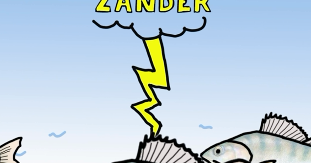 Lightning & Zander at p.ara, Bremen