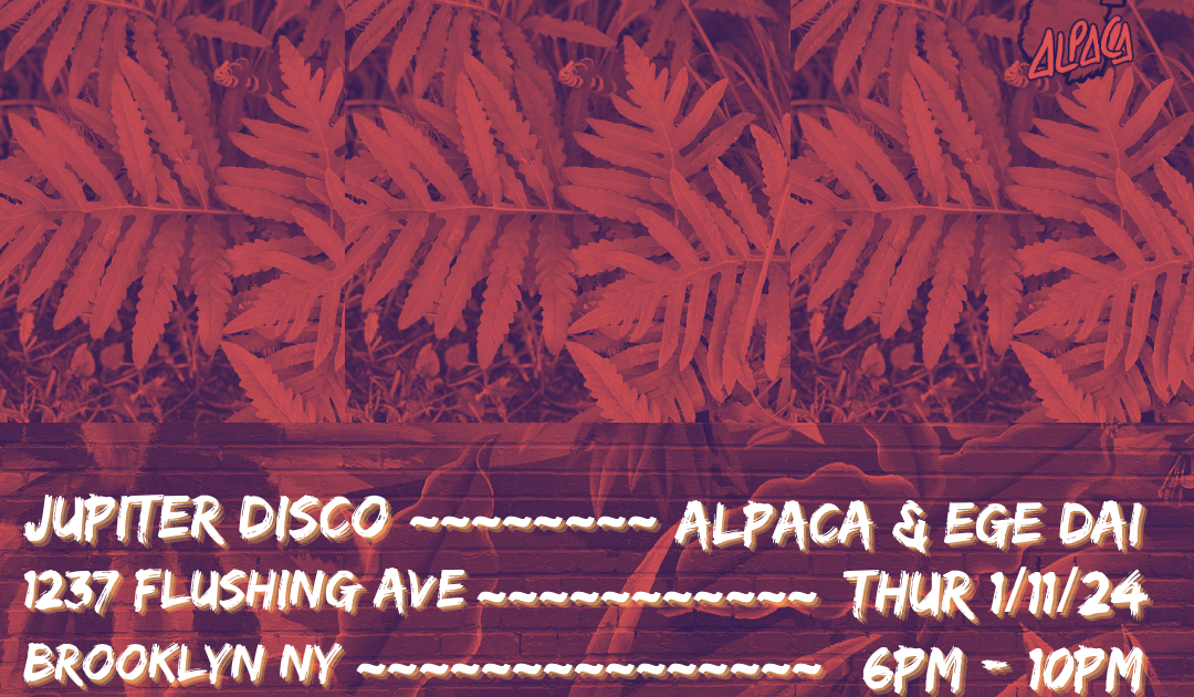 Alpaca & Ege Dai - Early Session at Jupiter Disco, New York City