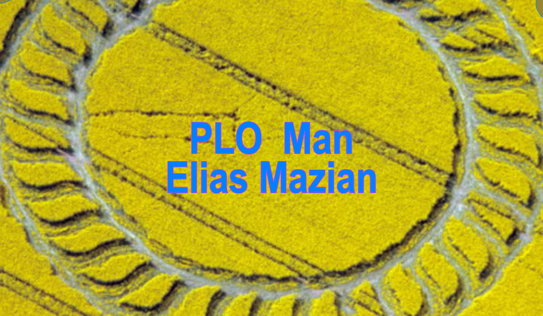 PLO Man, Elias Mazian at Garage Noord, Amsterdam