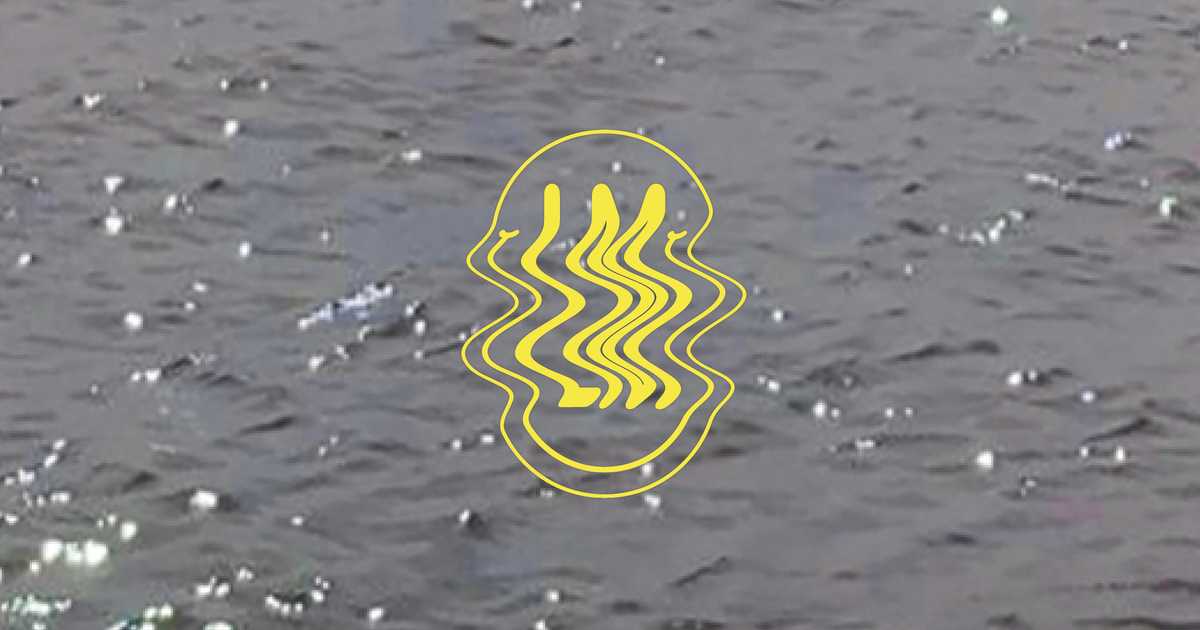 Liquid Memory Records Release Party at TBA, Berlin