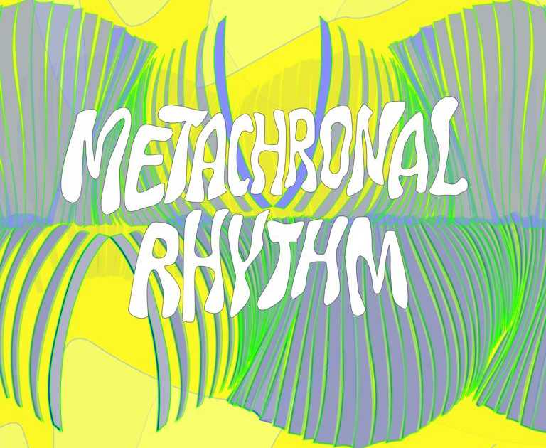 Metachronal Rhythm at Noir - Little White Pig, Edinburgh