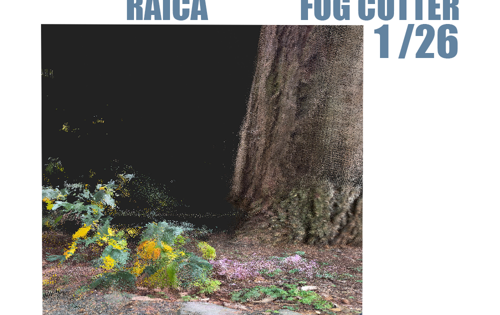 Shelf Nunny - pronoia album release show at Barboza, Seattle