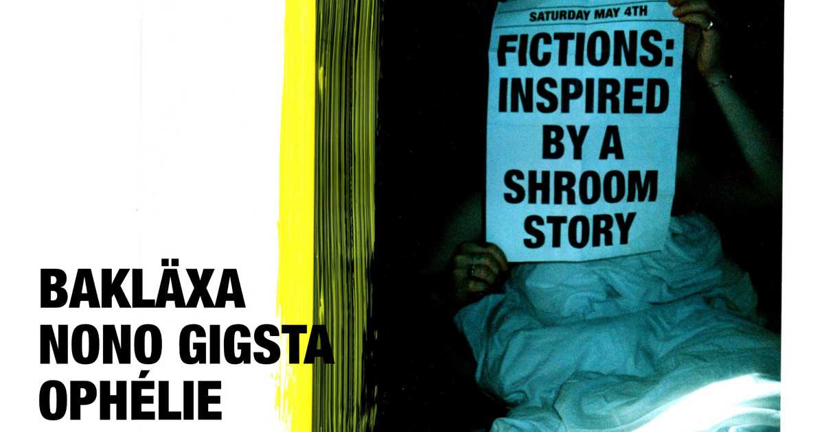 Fictions Party with Bakläxa, Nono Gigsta, ophélie, sinny, xin at ...