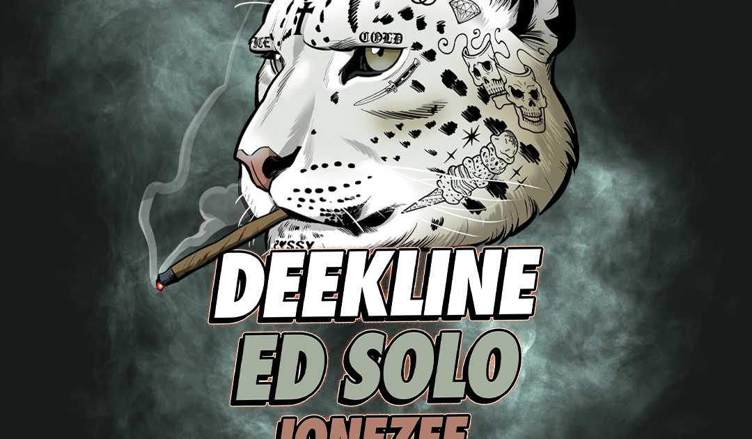 Jungle Cakes - Colchester - Roberts Club at Roberts Colchester, South ...