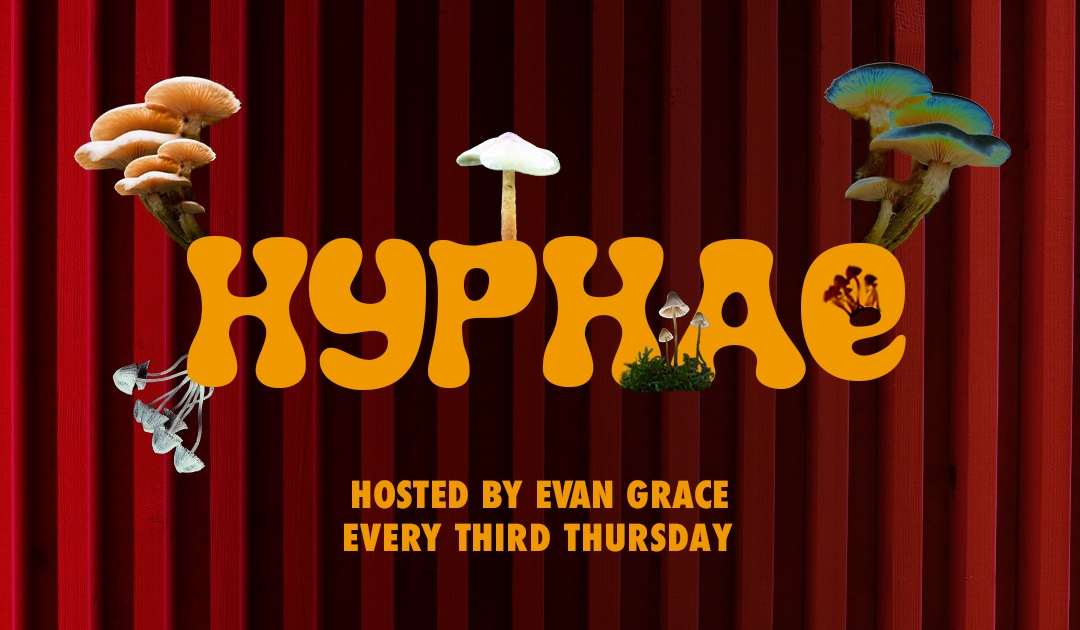 Hyphae at Hi-Note, New York City