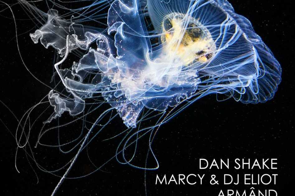 Origins / Dan Shake (Extended Set), Marcy & DJ Eliot, Armând, Henry ...