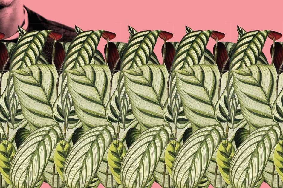 Hanging Gardens presents; Jack Swift em Hanging Gardens, West + Wales