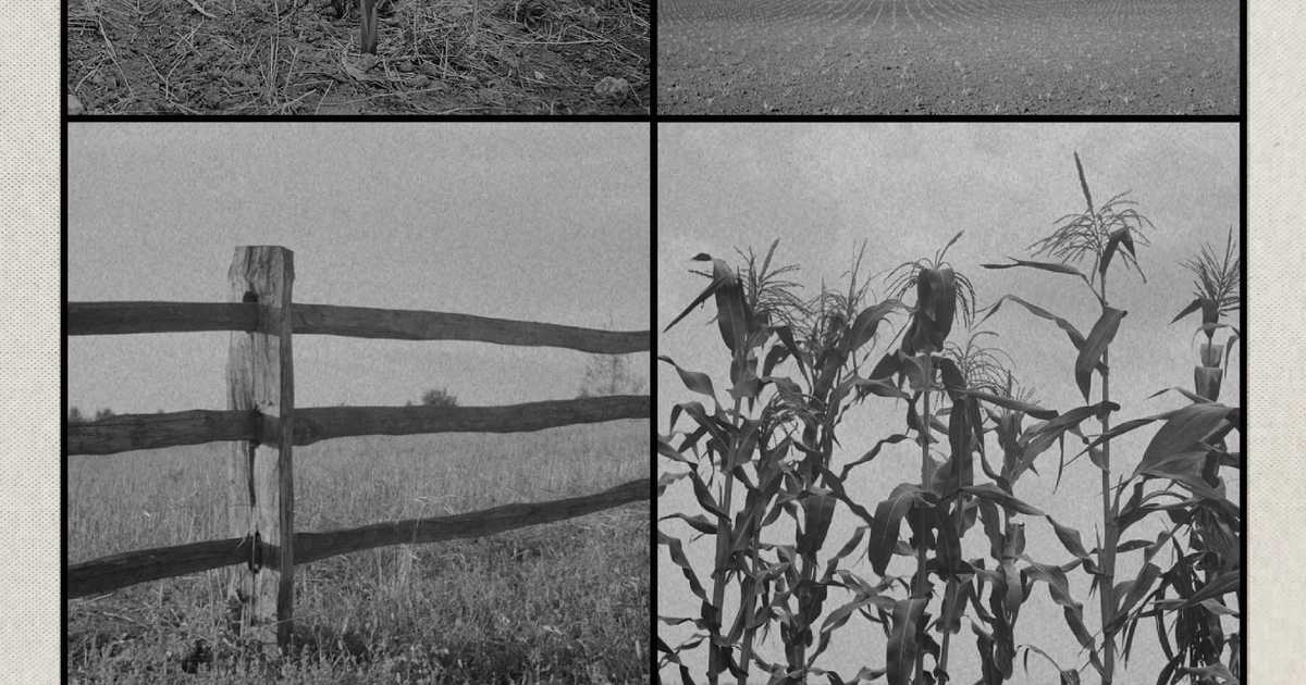 Skee Mask x Victor x Lara Fein x Zue at TBA - Toluca - Metepec, Mexico City