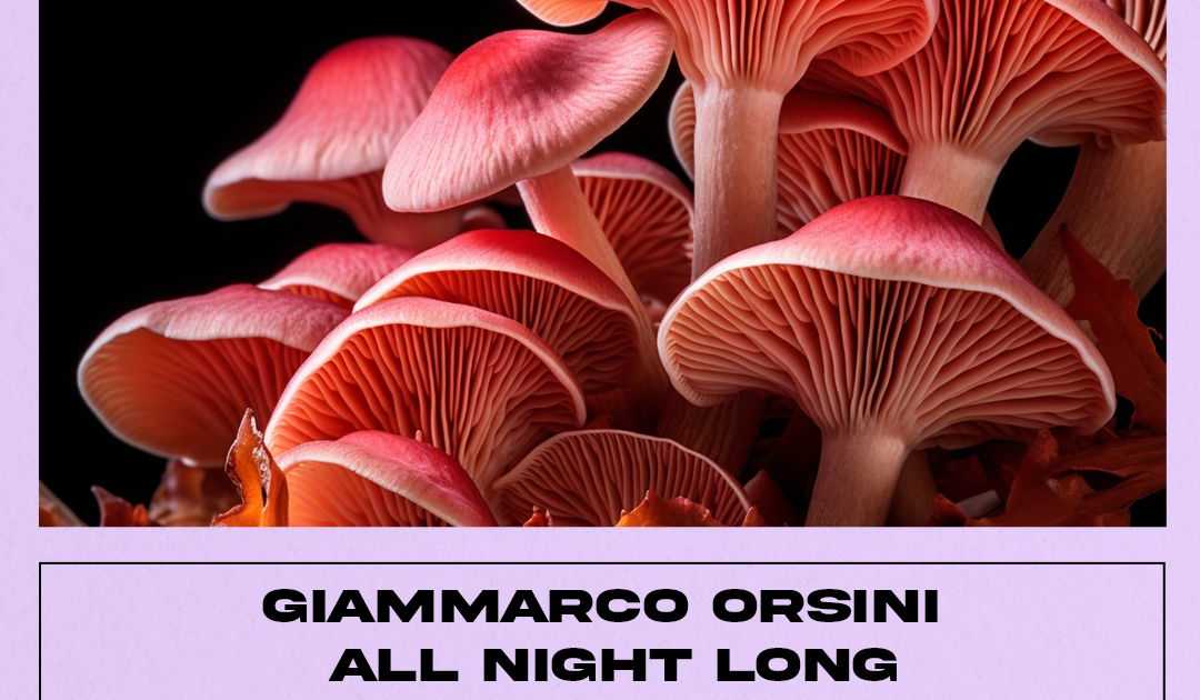 Starlane presents: Giammarco Orsini All Night Long at Starlane Pizza ...