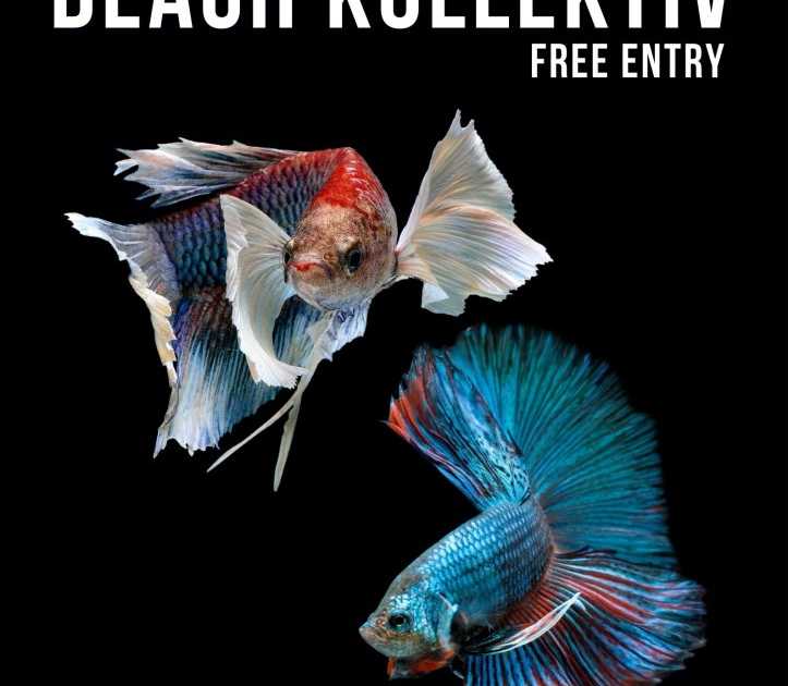 Berlin Beach Kollektiv - Free Entry em The Tempest Inn, Brighton