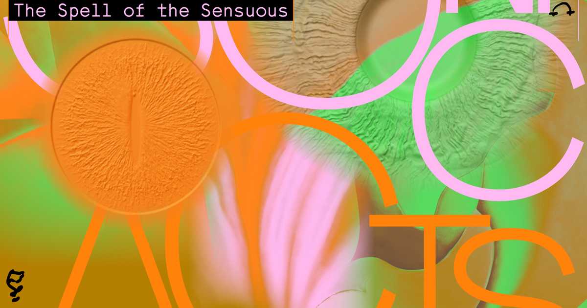 Sonic Acts Biennial 2024: OT301 Club Night at OT301, Amsterdam