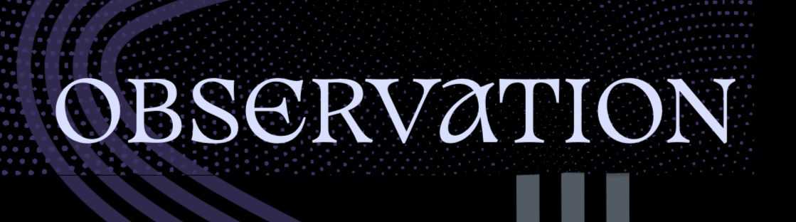 Observation at Metro Oldenburg, Bremen