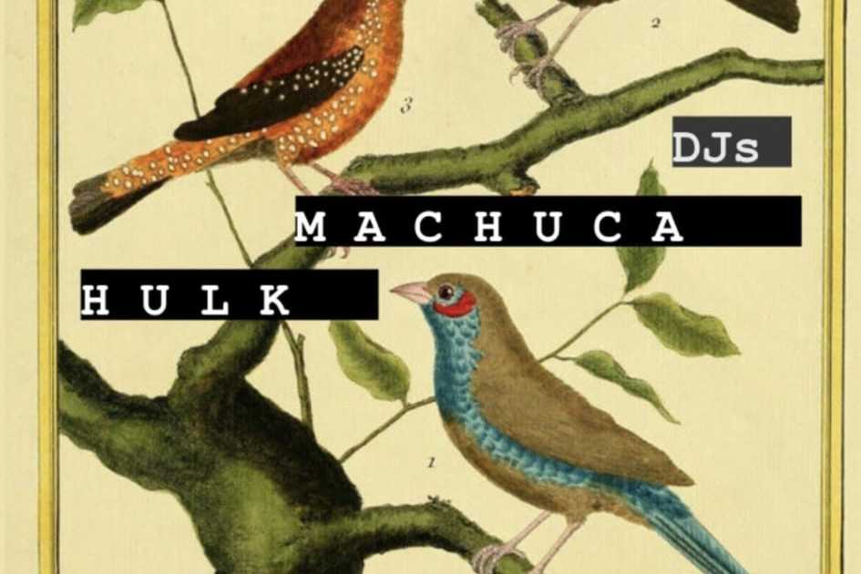 Pajareo tardeo DJ Hulk & DJ Machuca at TBA - MüllerBar , Madrid