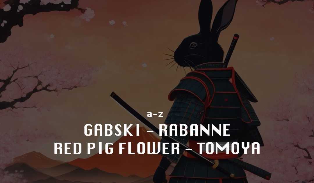 Rave Rabbit w. Red pig flower, Tomoya, Gabski, Rabanne at Kizuna, London