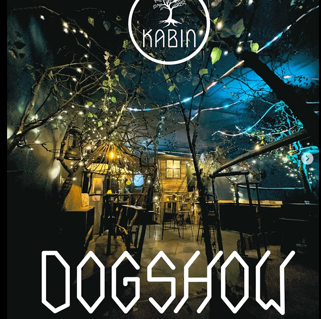 Dogshow: Unplugged bei Kazimier Garden, Liverpool