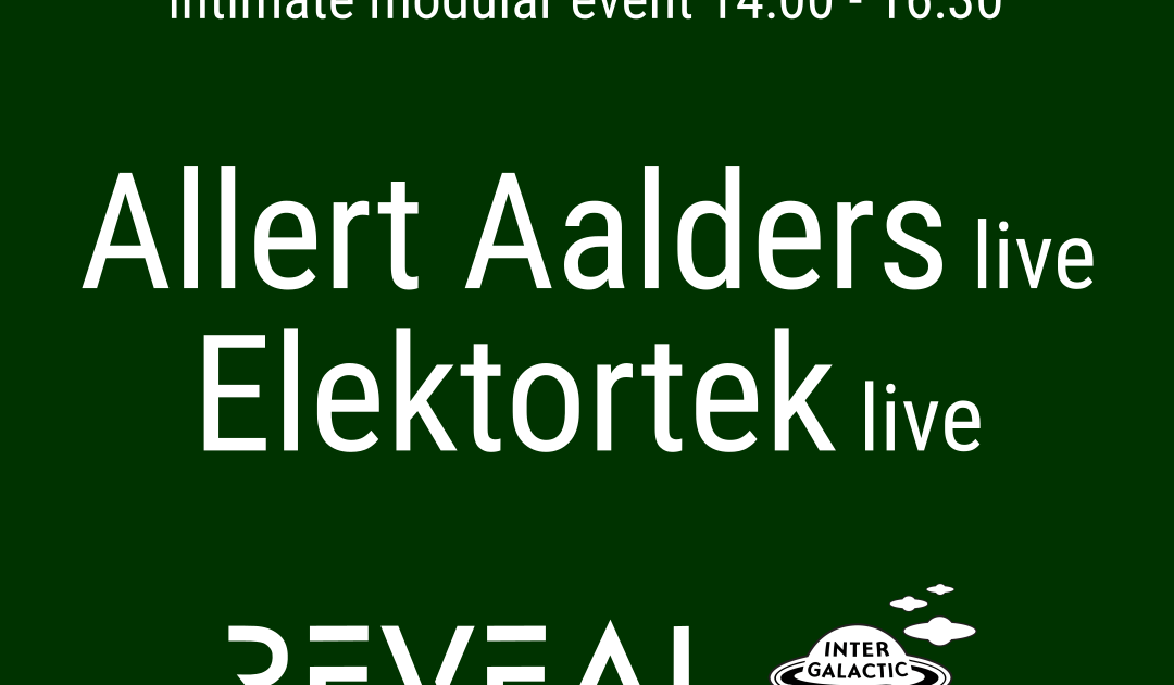 Allert Aalders, live, Elektortek, live at Reveal, Utrecht