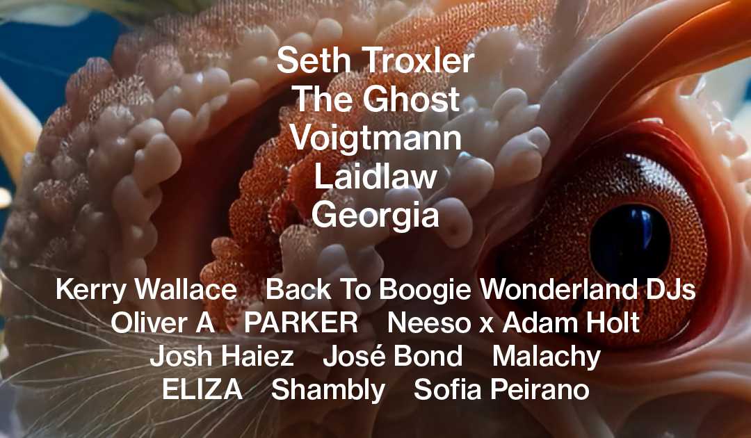 fabric x S.A.S.H Sydney: Seth Troxler, The Ghost, Voigtmann, Laidlaw ...