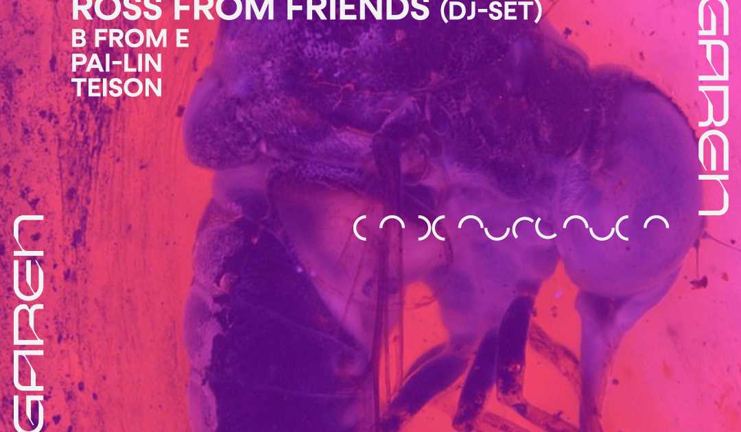 Ross From Friends (DJ-set), B From E, Pai-lin, Teison at Hangaren ...