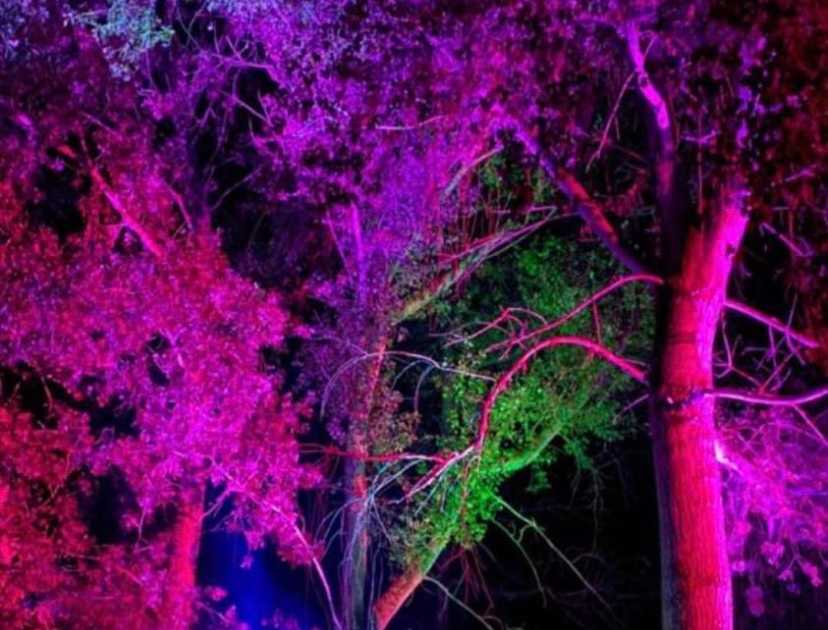 SECRETRAVES // FREE ENTRY // DAY & NIGHT // OPEN AIR // 16 HOURS RAVE ...