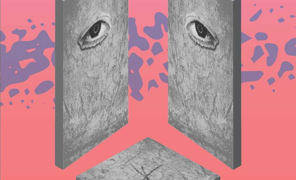 Nightless - Wilki / Club Calco at Electric Room, New York City