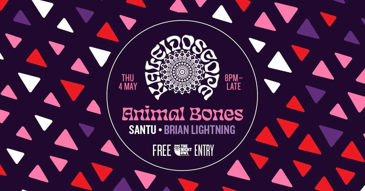 Kaleidoscope - Animal Bones / SANTÙ / Brian Lightning at Night Owl ...