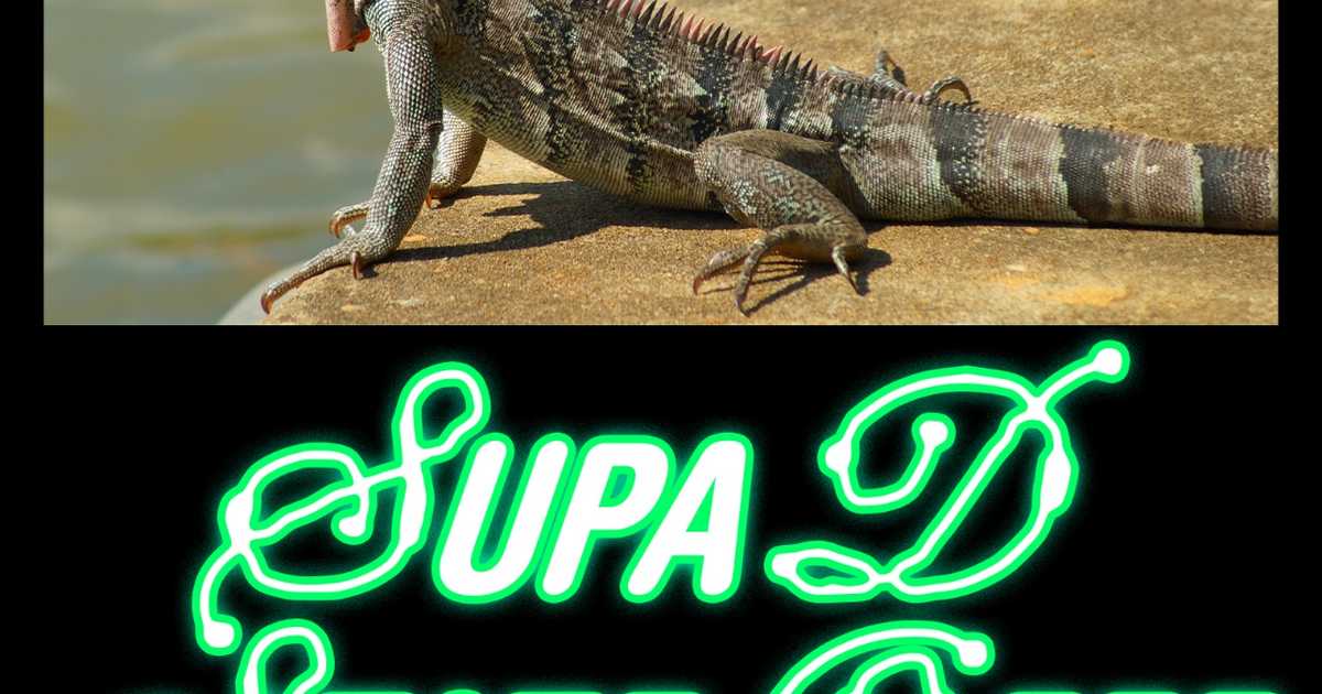 Carousel Seoul & Goon Club Allstars presents Supa D & State OFFF at Ormside Projects, London