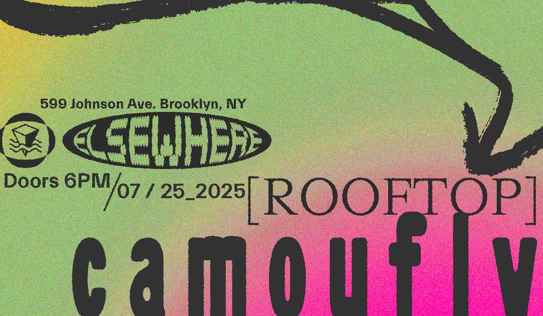 camoufly, dj something at Elsewhere, New York City