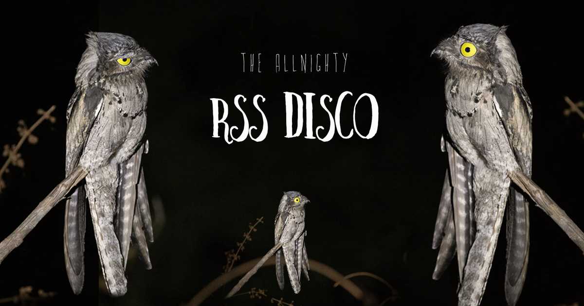 The Allnighty RSS Disco at Nachtasyl, Hamburg