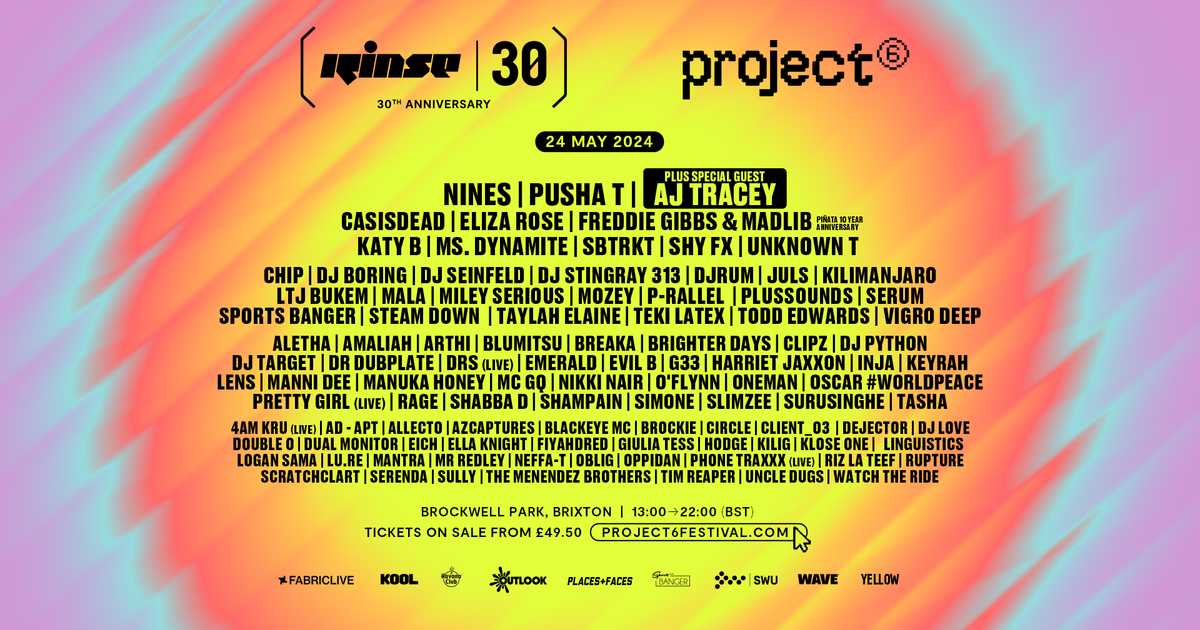 Project 6 Festival at Brockwell Park, London